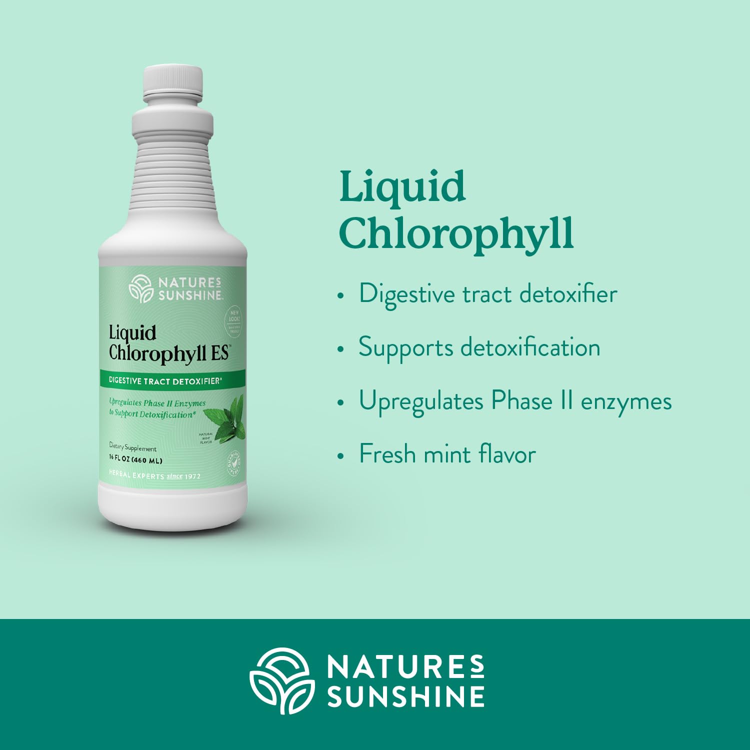 best chlorophyll supplement for wellness
