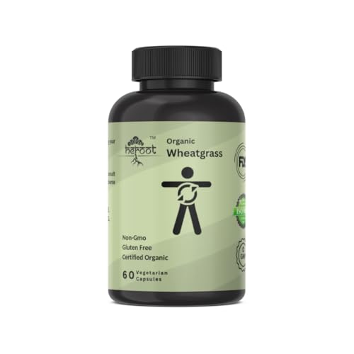best chlorophyll supplement for wellness