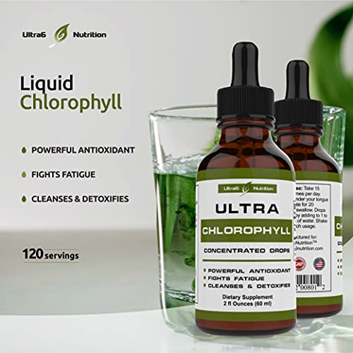 best chlorophyll supplement for wellness