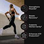 best creatine powder for recovery