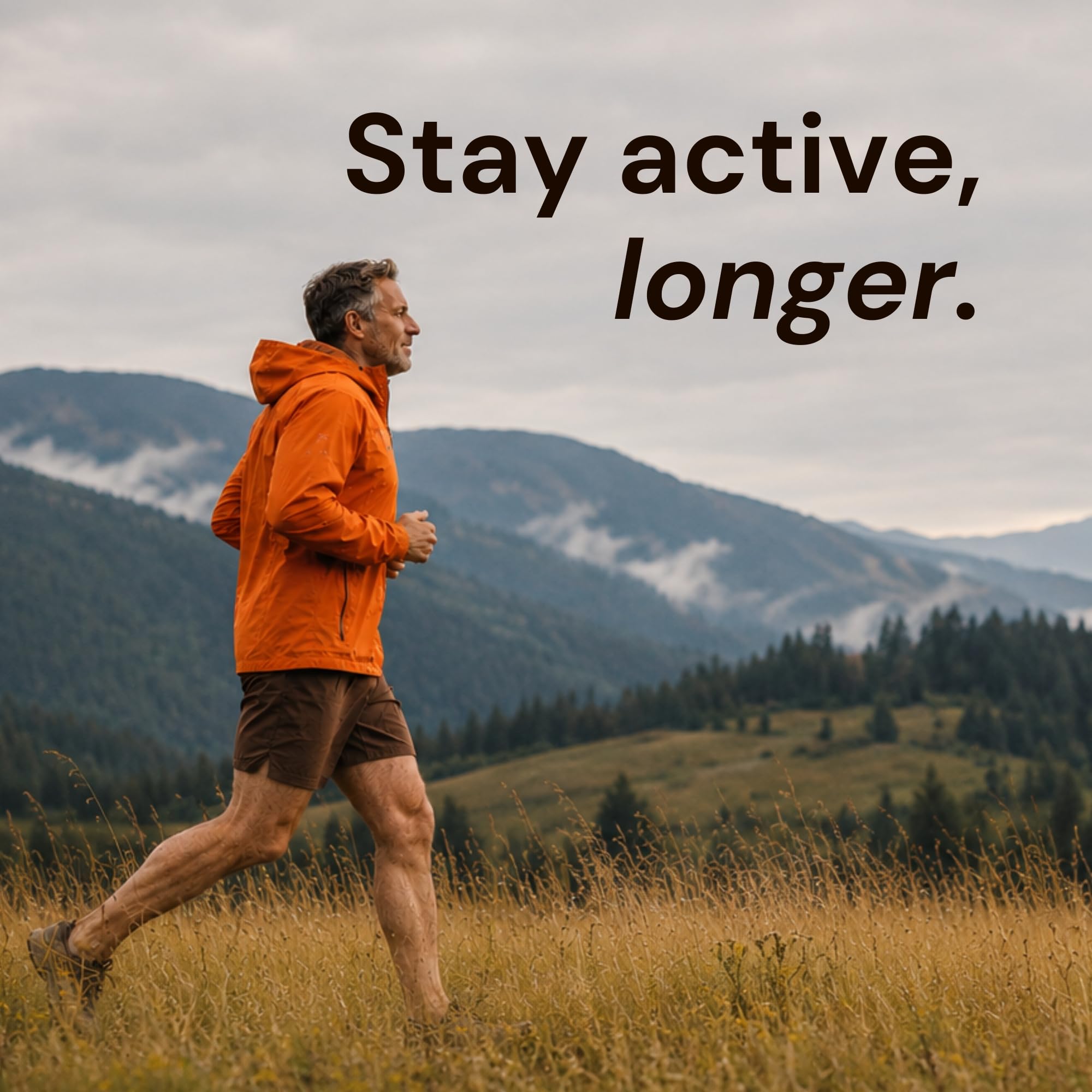 best curcumin supplement for athletes