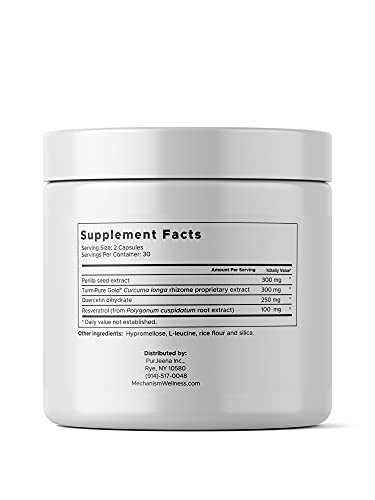 best curcumin supplement for everyday use