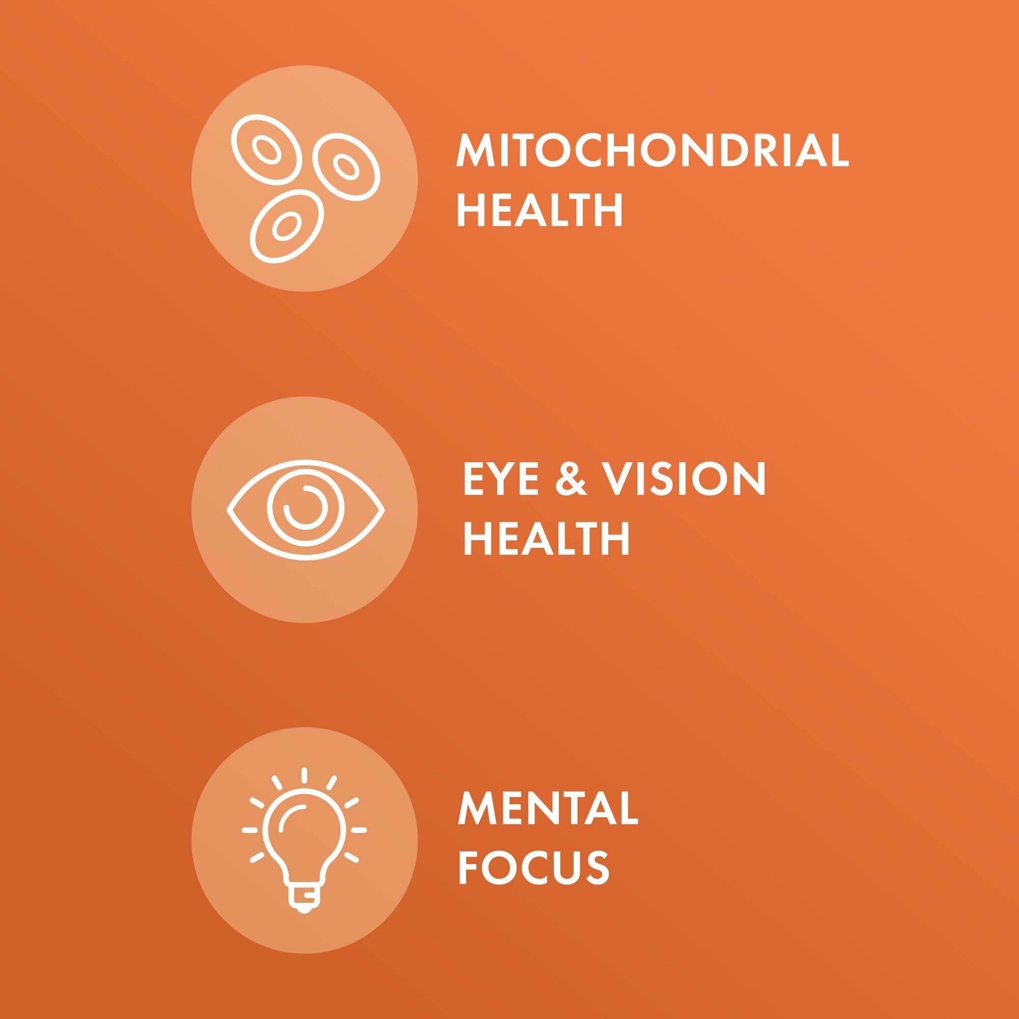 best curcumin supplement for health