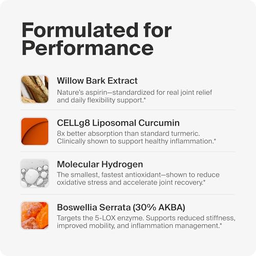 best curcumin supplement for joints