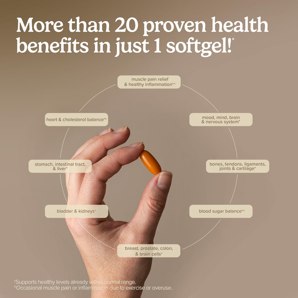 Best curcumin supplement for overall wellness
