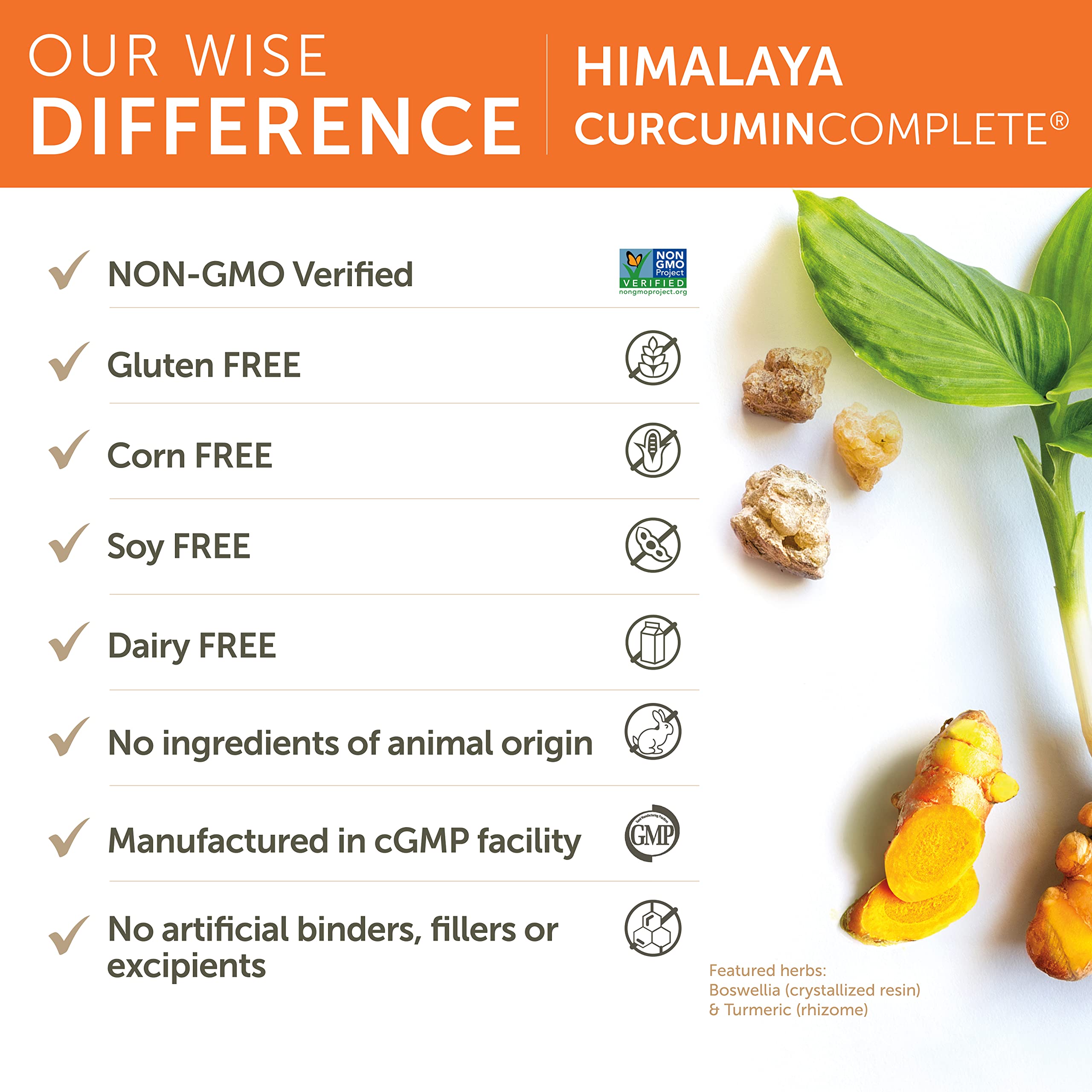 Best curcumin supplement for wellness