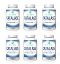 Best Earth Naturals multivitamins for energy