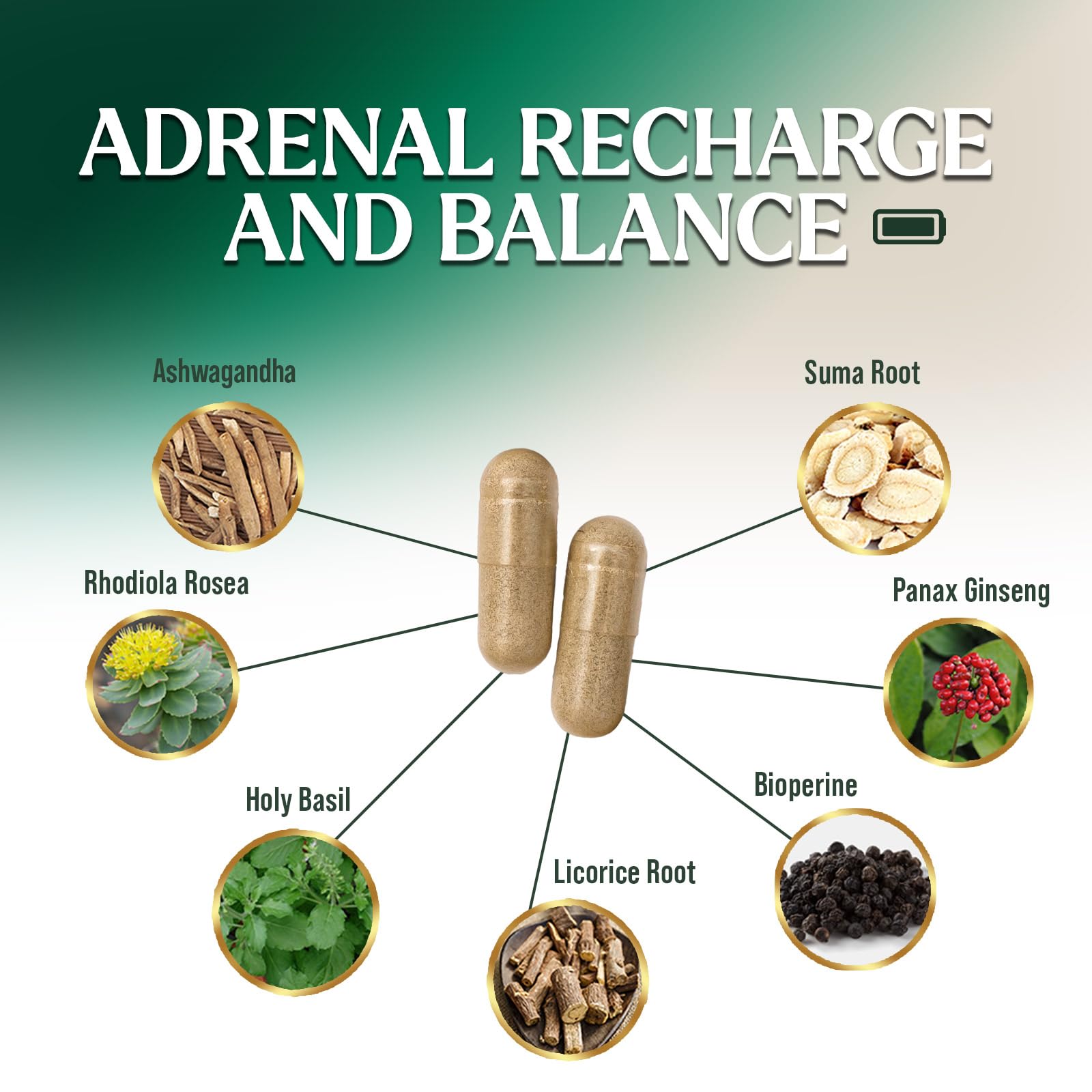 best energy supplement with adrenal extracts