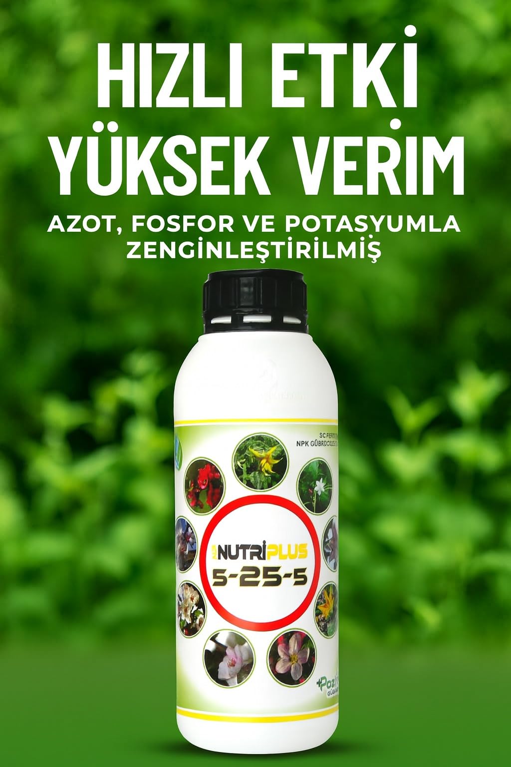 best fertilizer for blooming plants