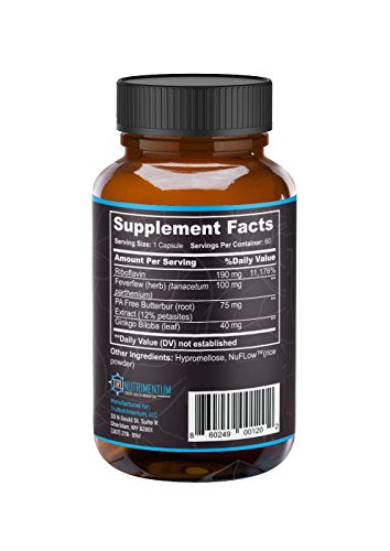 best ginkgo biloba capsules for wellness