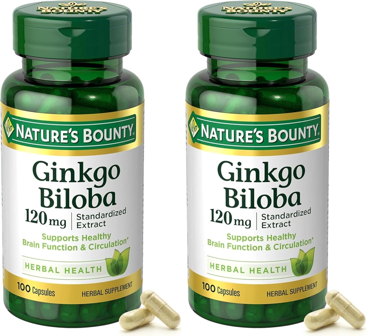 best ginkgo biloba extract capsules