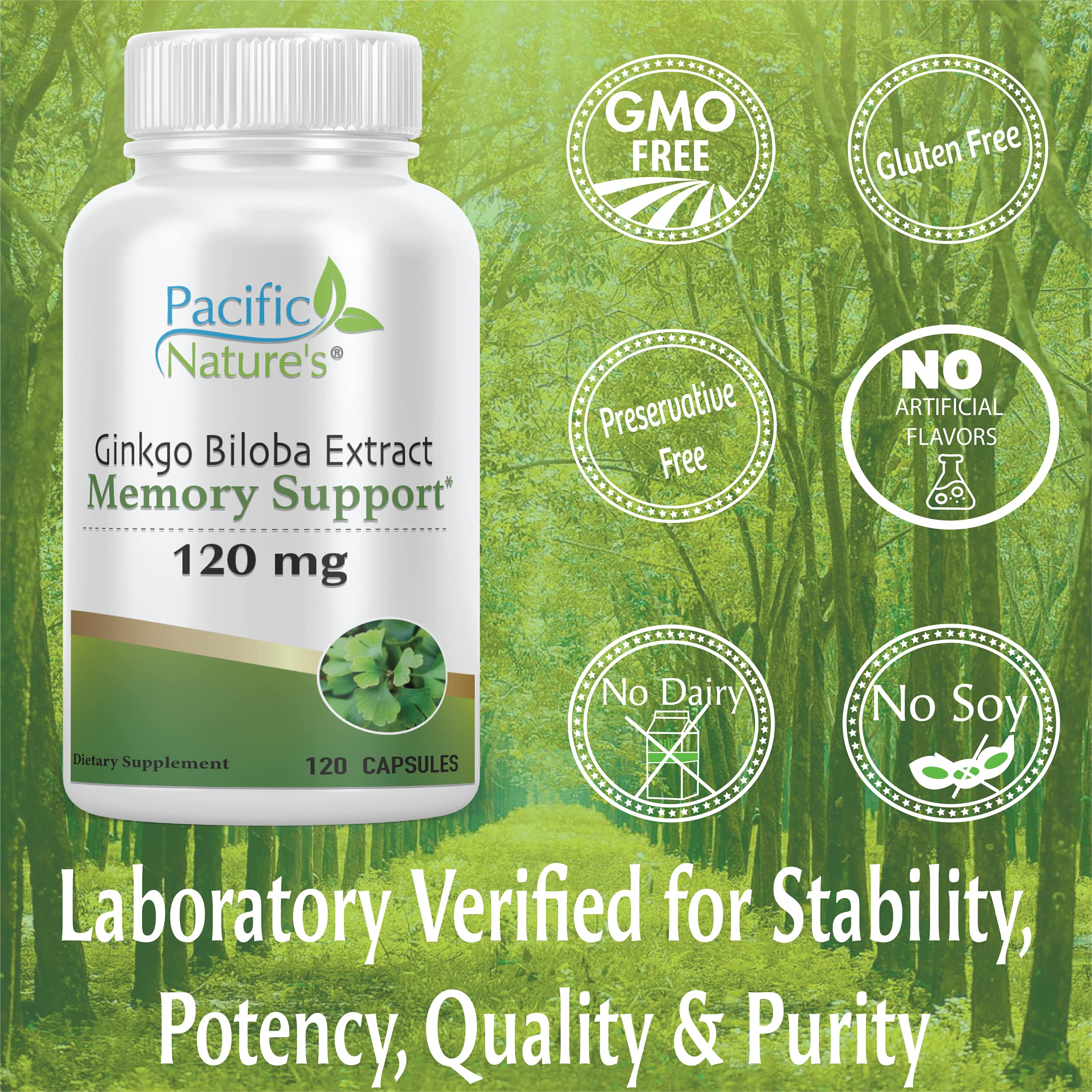 best ginkgo biloba for brain function