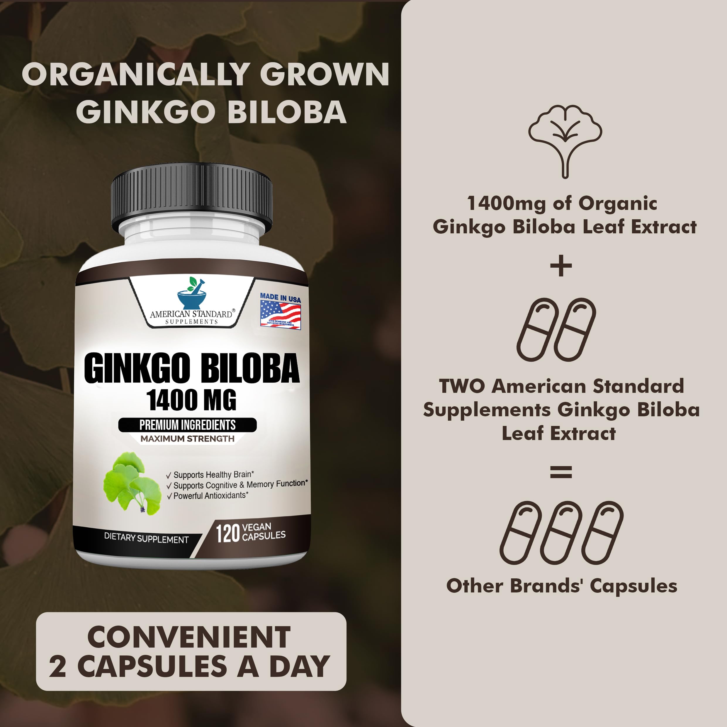 best ginkgo biloba for cognitive support