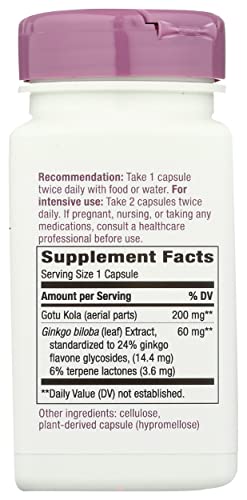 best ginkgo biloba for wellness