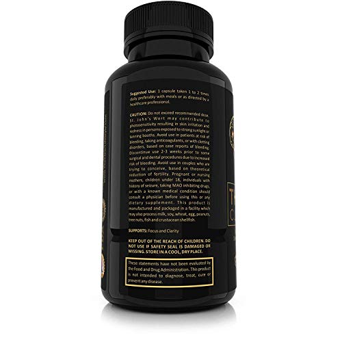 best ginkgo biloba product for enhanced memory