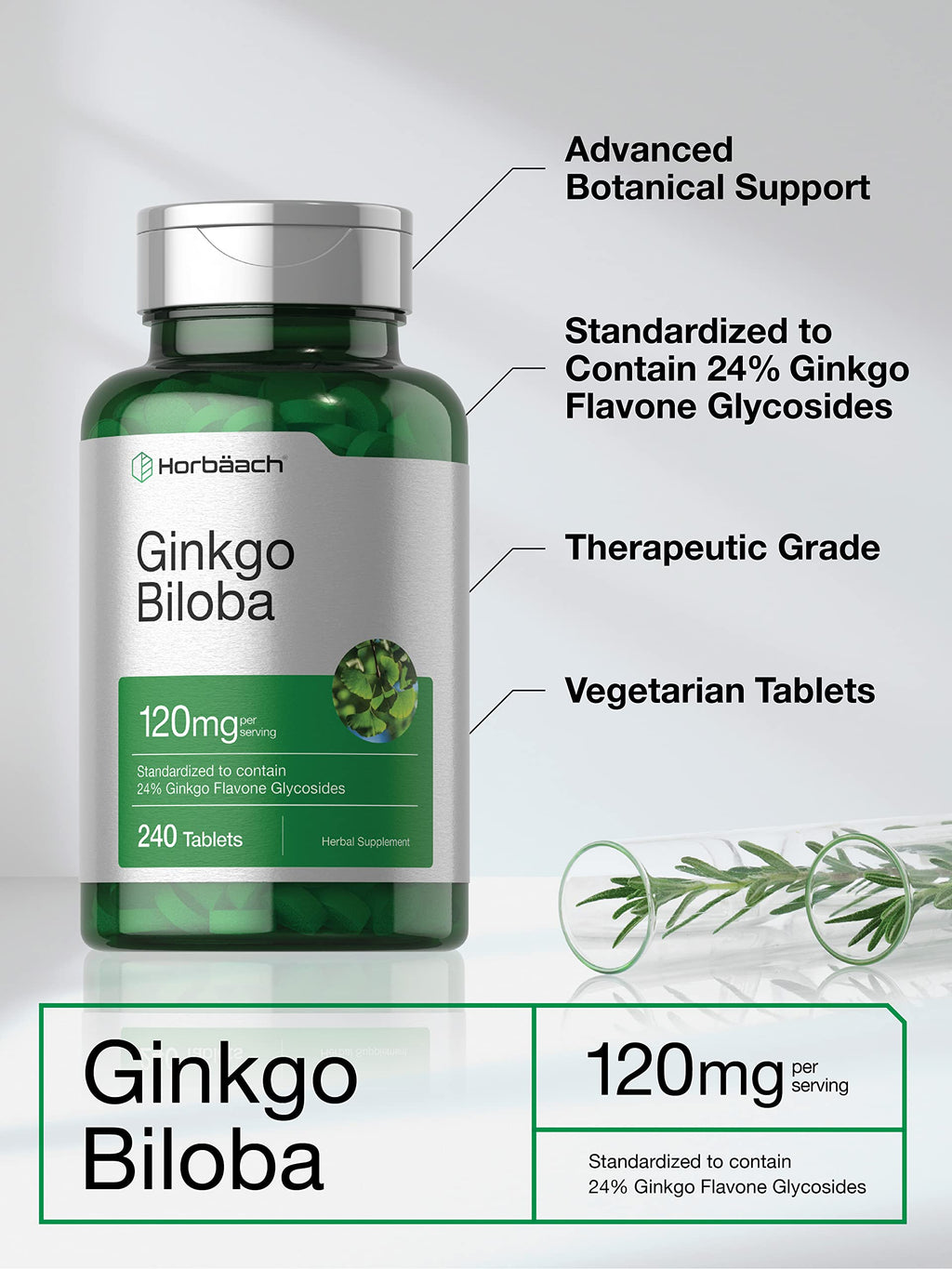 best ginkgo biloba supplement available