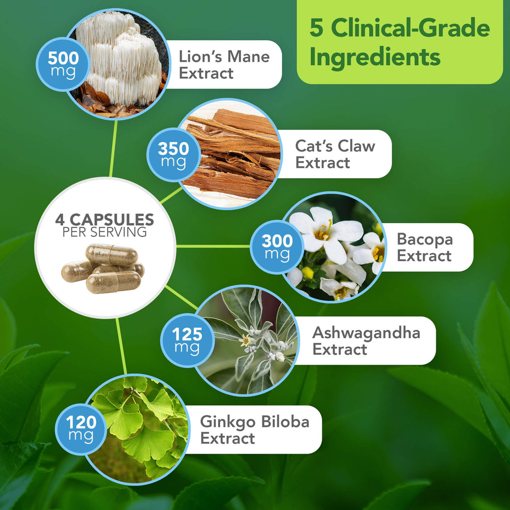 best ginkgo biloba supplement choice