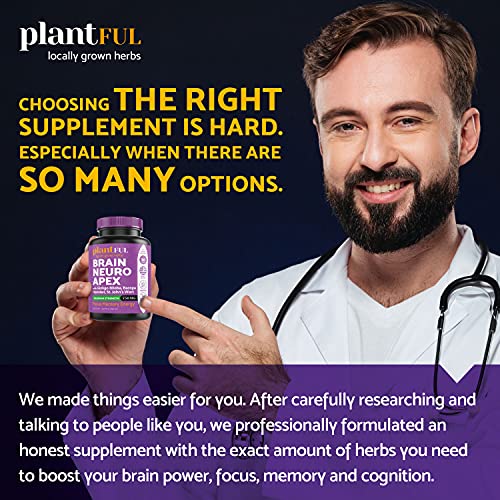 best ginkgo biloba supplement for adults