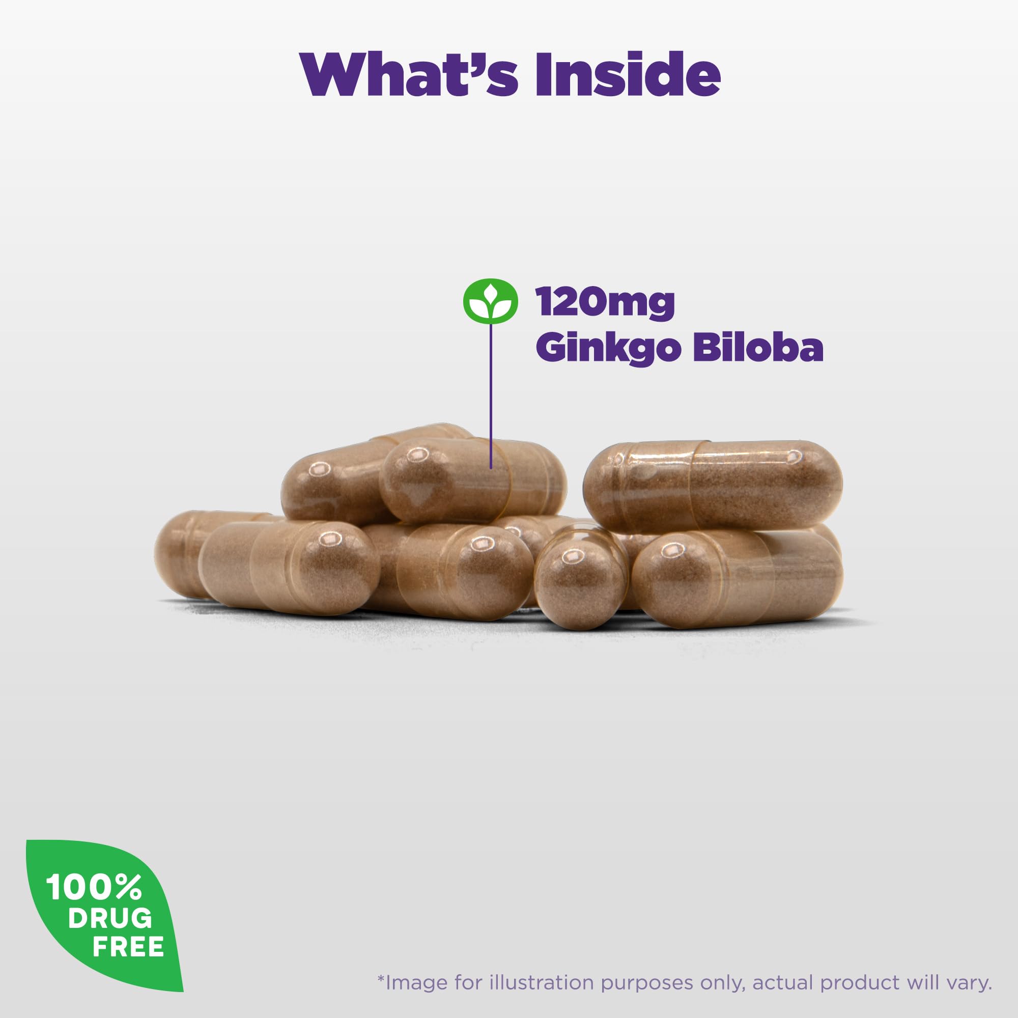 best ginkgo biloba supplement for focus
