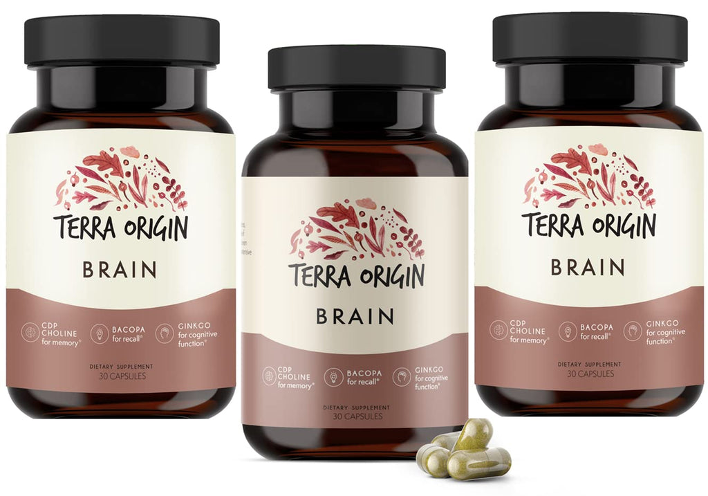 best ginkgo biloba supplement for focus