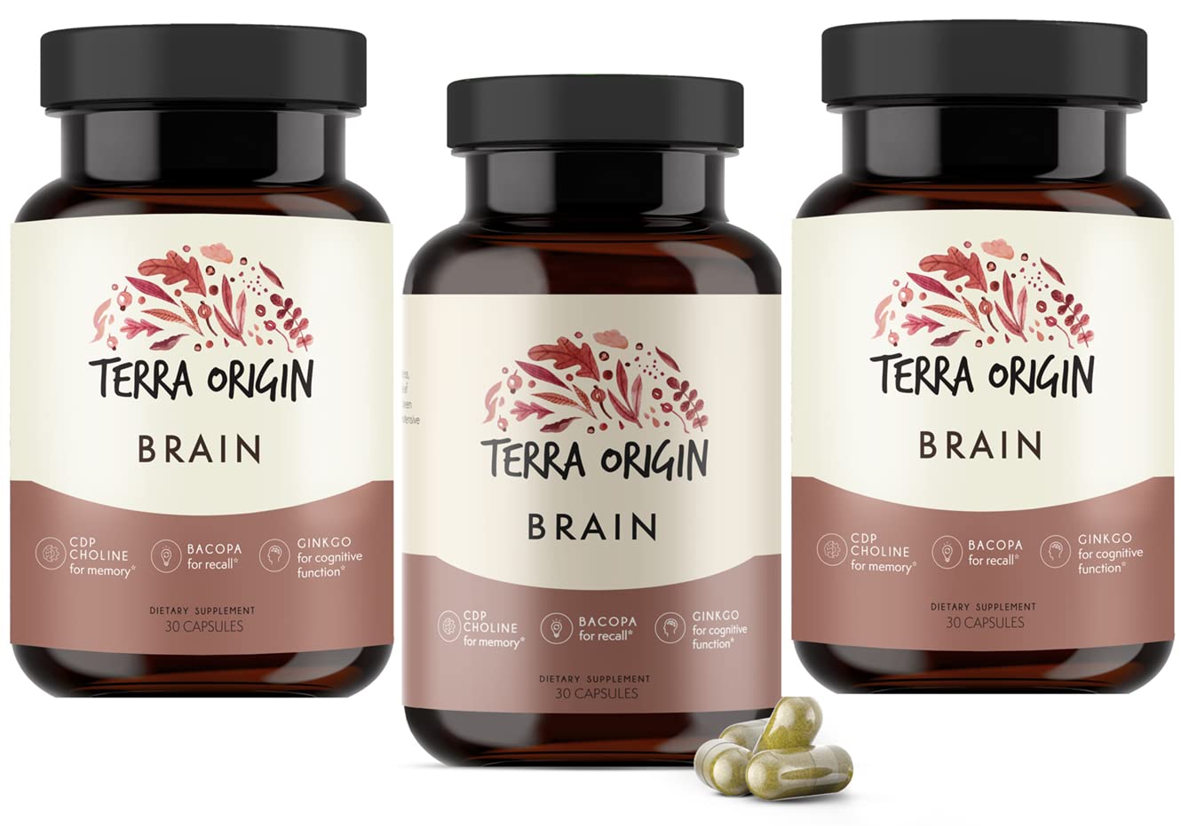 best ginkgo biloba supplement for focus