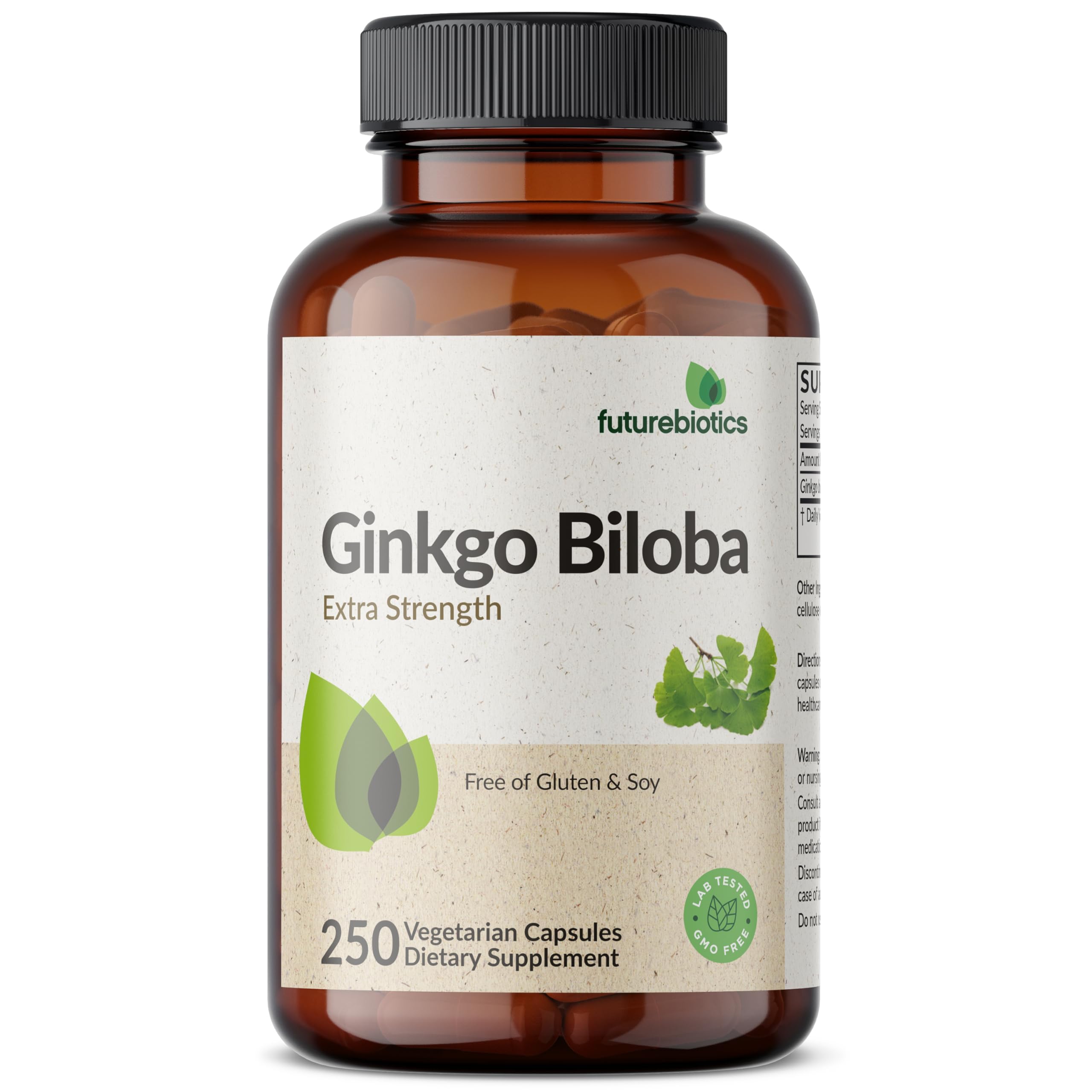 best ginkgo biloba supplement for focus