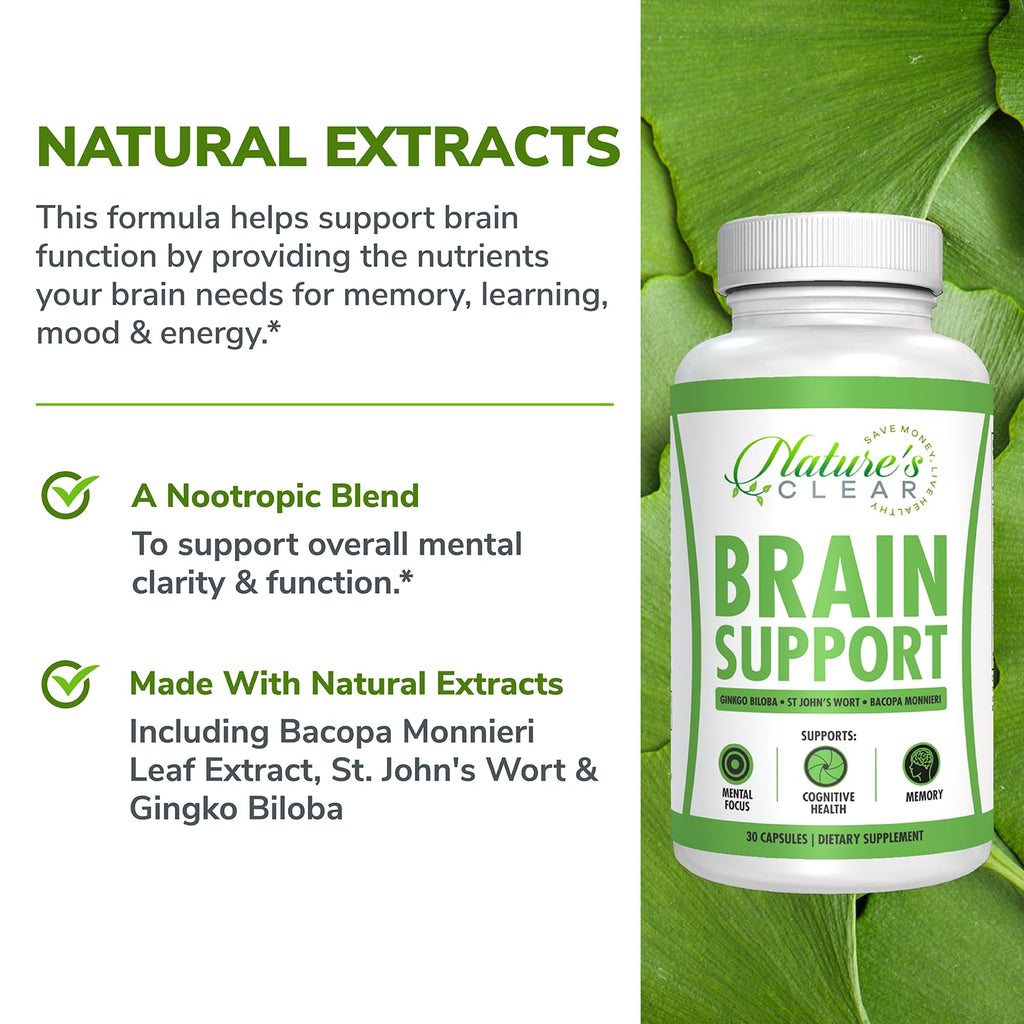 best ginkgo biloba supplement for focus