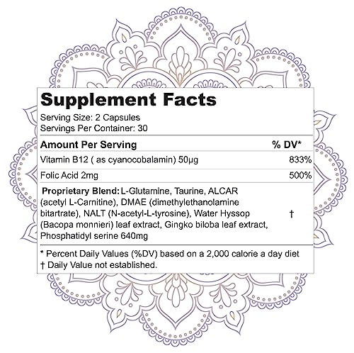 best ginkgo biloba supplement for focus