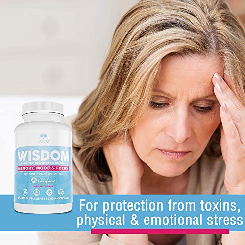 best ginkgo biloba supplement for focus