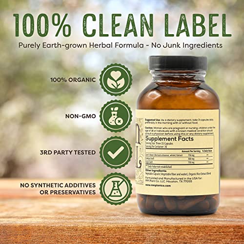 best ginkgo biloba supplement for focus