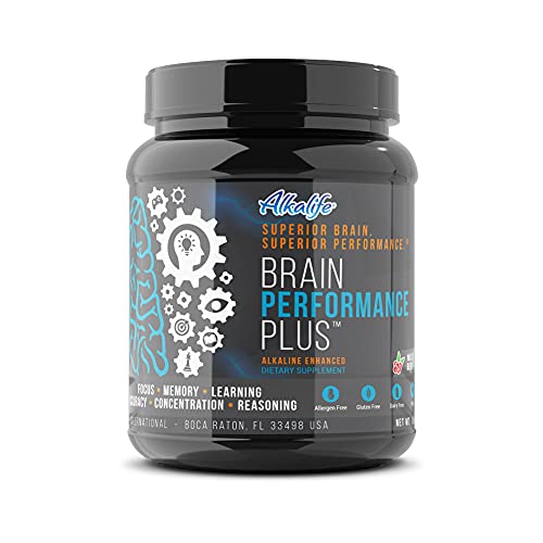 best ginkgo biloba supplement for memory