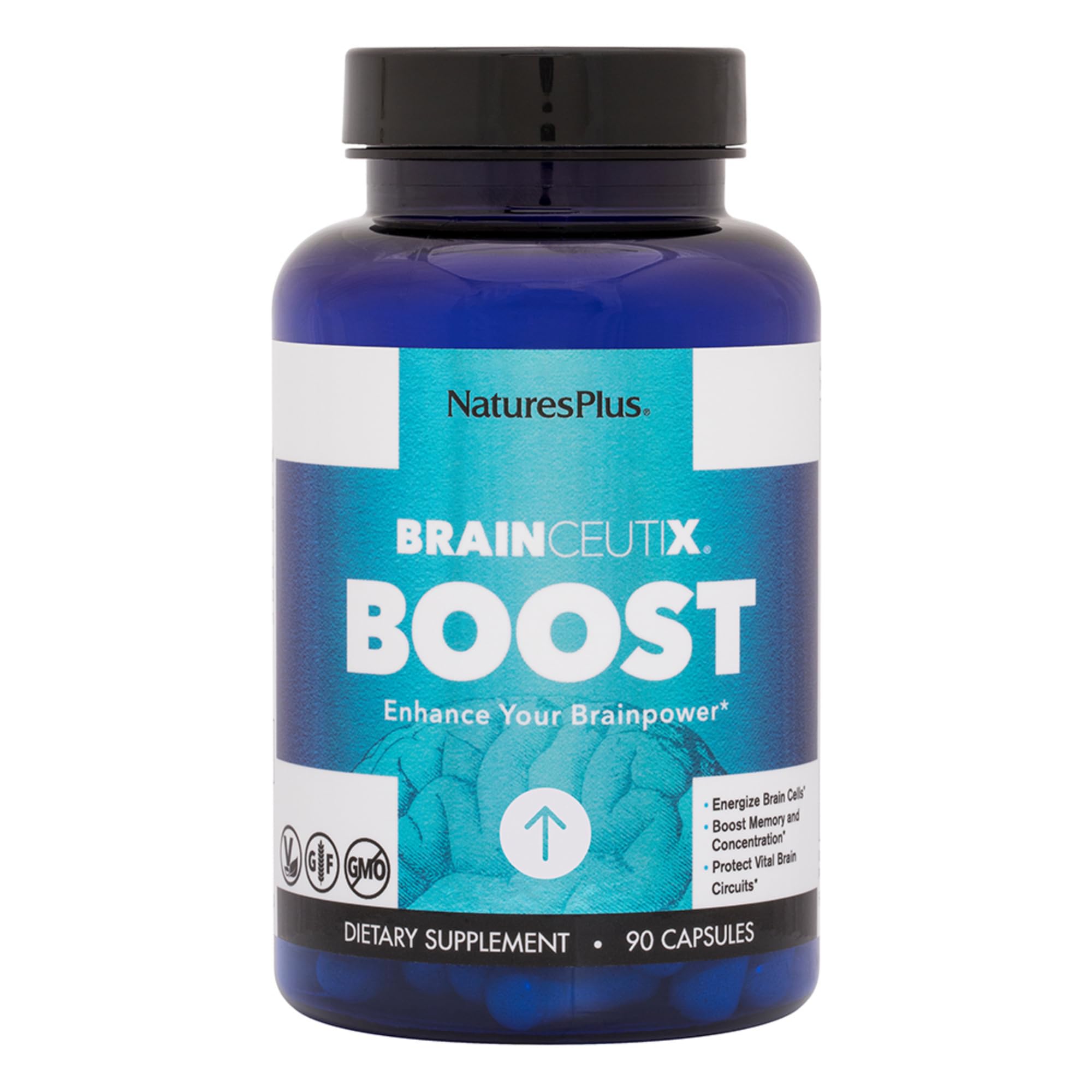 best ginkgo biloba supplement for memory