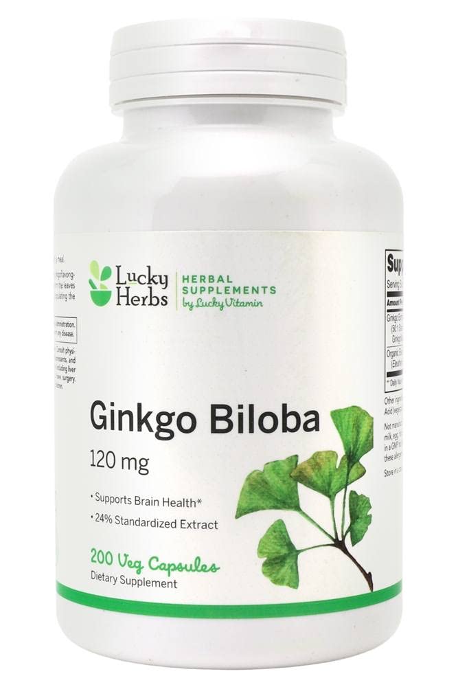 best ginkgo biloba supplement for memory