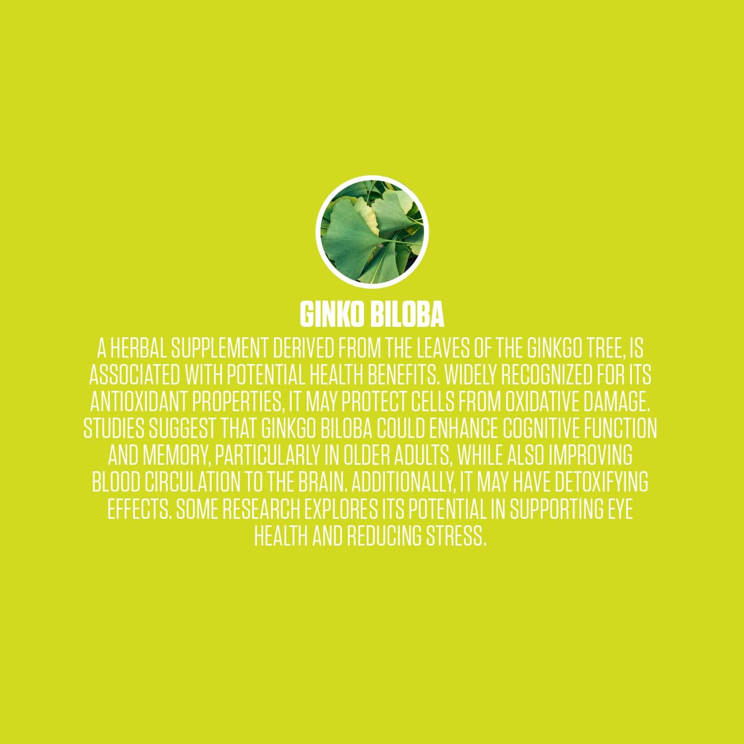 best ginkgo biloba supplement for wellness