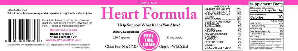 best ginkgo biloba supplement for wellness
