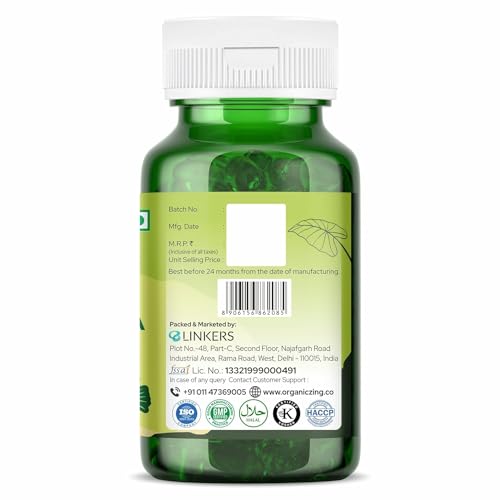 best ginkgo biloba supplement for wellness
