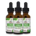 best ginkgo biloba supplement for wellness