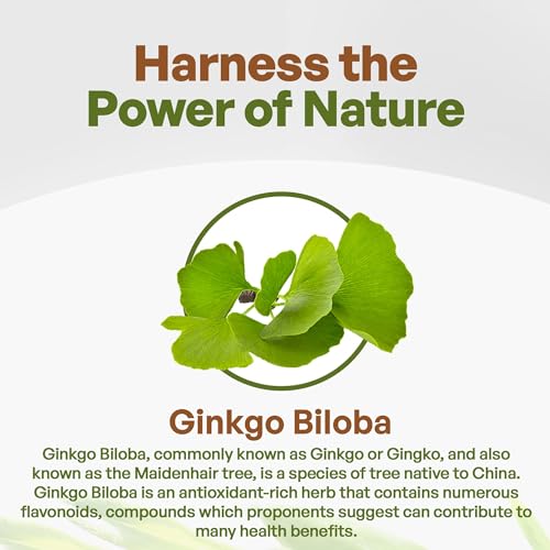 best ginkgo biloba supplement online