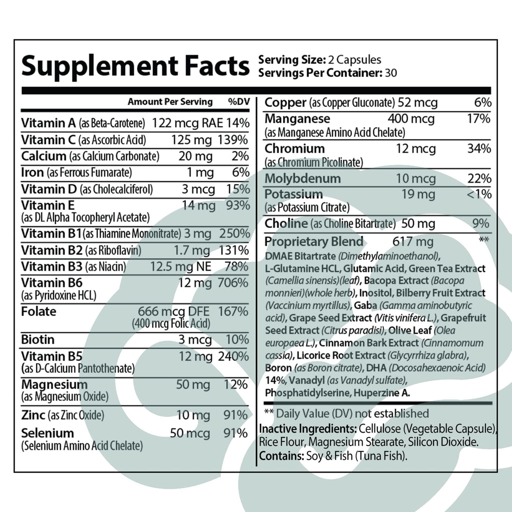best ginkgo biloba tablet for concentration