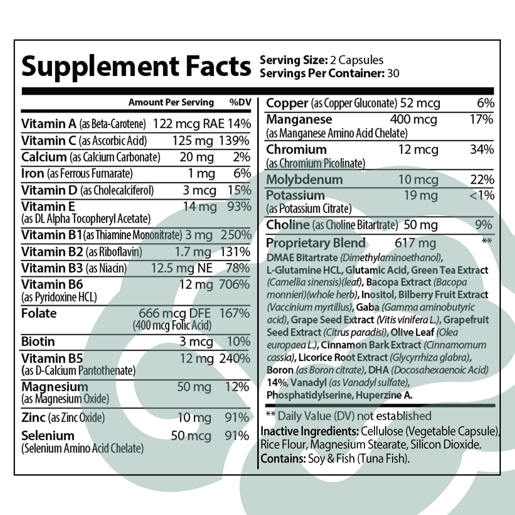 best ginkgo biloba tablet for concentration