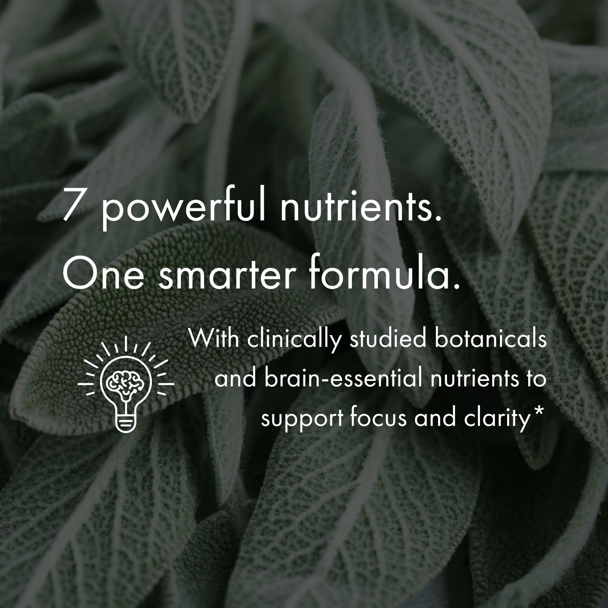best ginkgo biloba tablet for focus