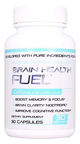 best ginkgo biloba tablet for focus