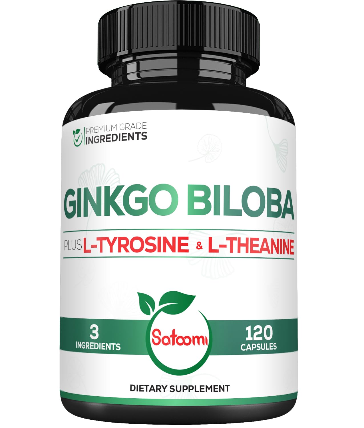 best ginkgo biloba tablet for focus