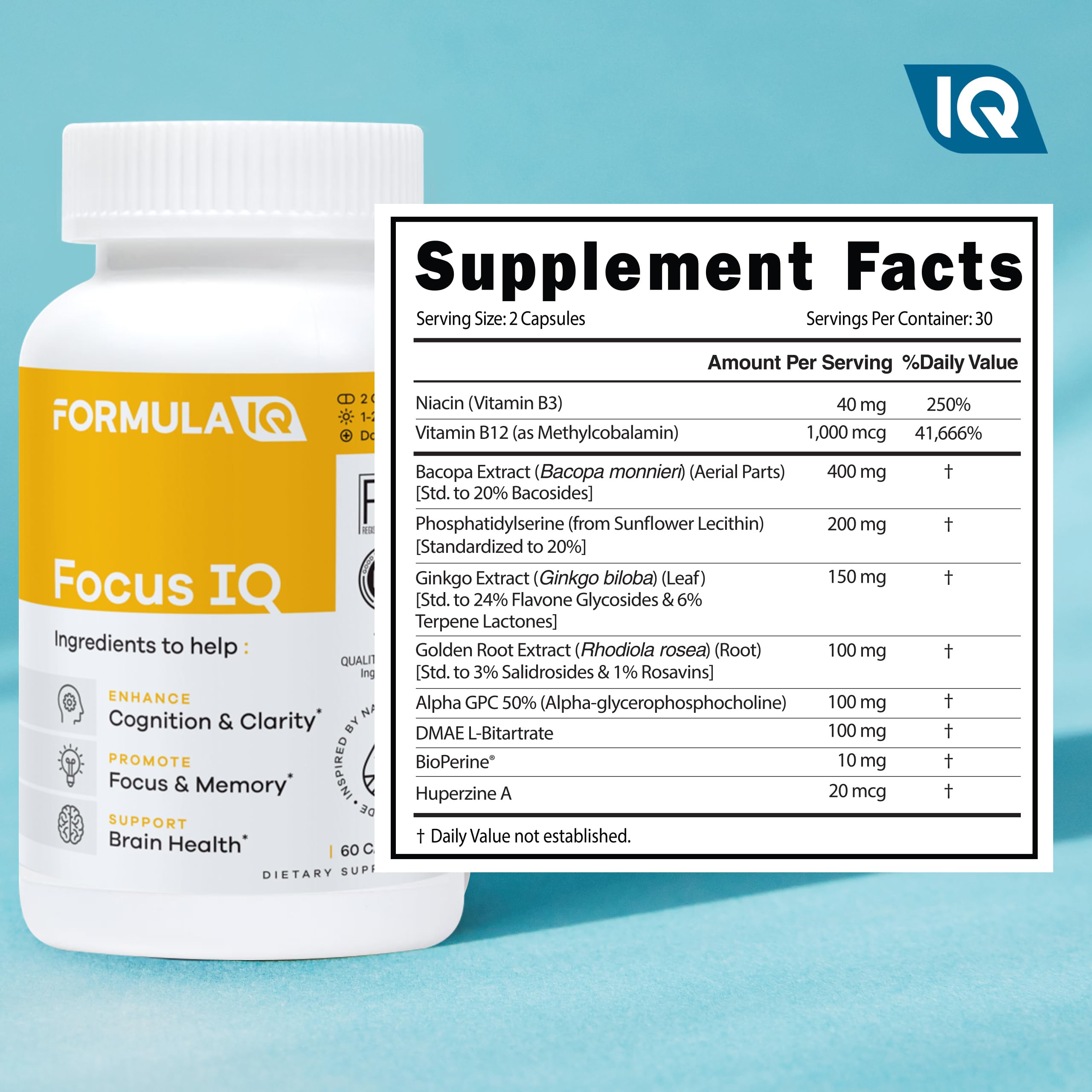 best ginkgo biloba tablets for focus