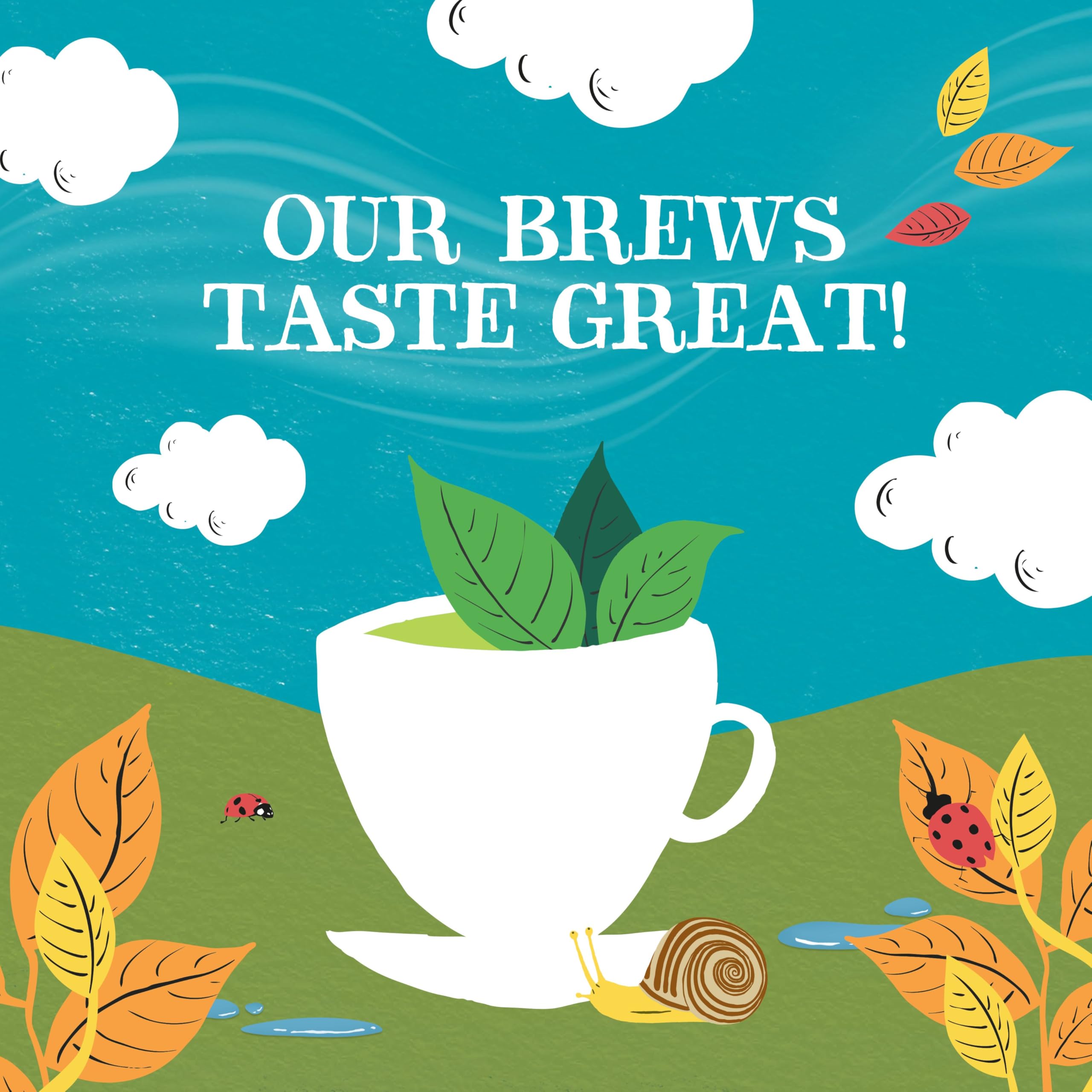 best green tea for daily use