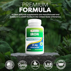 best iron supplement for energy