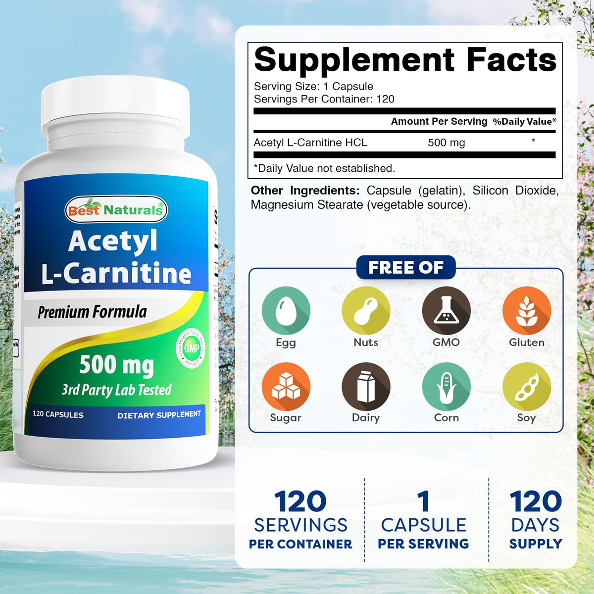 best l-carnitine capsules for fitness