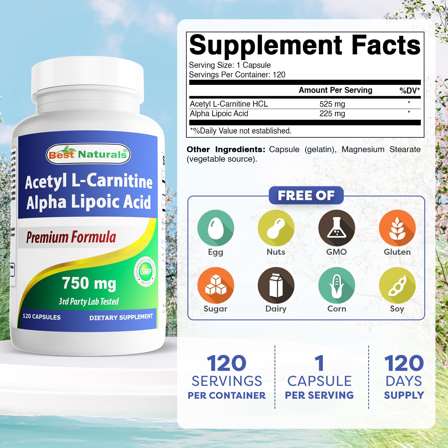best l-carnitine capsules for metabolism