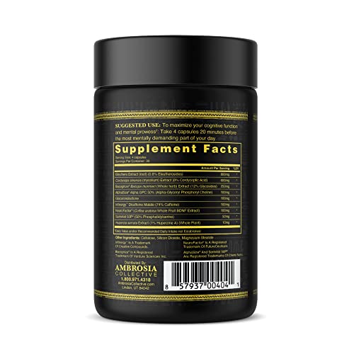 best multivitamins for cognitive support