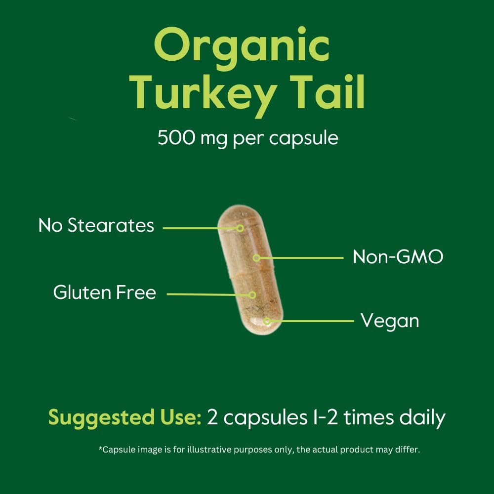 best mushrooms for vitality